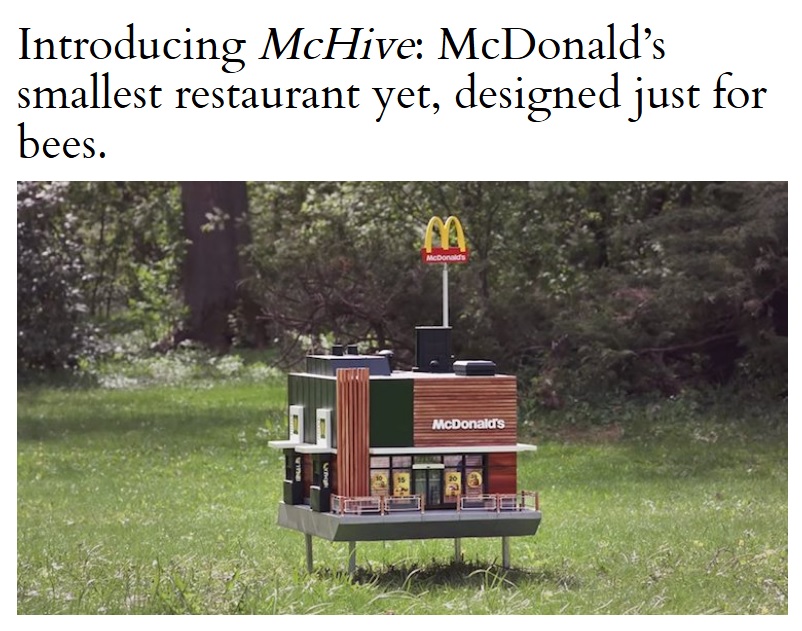 McHive: Tiny MickeyDs to Save Bees – FIREPAW, Inc.