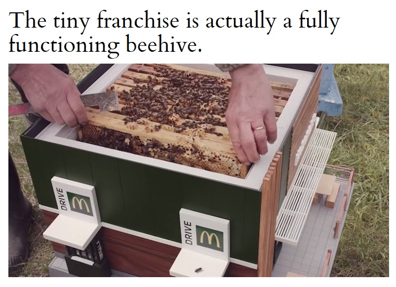 McHive: Tiny MickeyDs to Save Bees – FIREPAW, Inc.